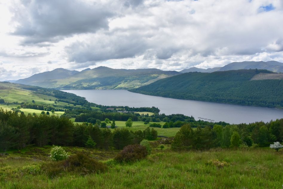 What is Revival? Introduction - Church Growth Modelling